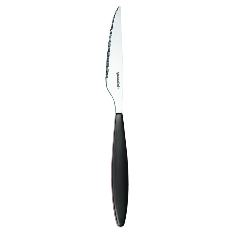 Couteau à steak FEELING 22.5 cm GUZZINI - Latour Tentes et Camping